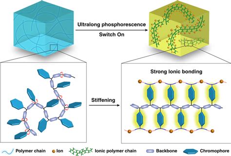Schematic Illustration For Ultralong Room Temperature Phosphorescence Download Scientific