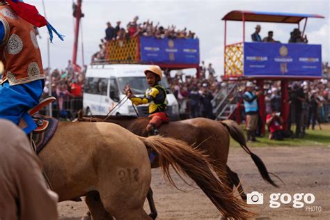СОЁОЛОН Булган аймгийн Сэлэнгэ сумын Х Бөхбатын хүрэн үрээ түрүү магнайд орж ирлээ