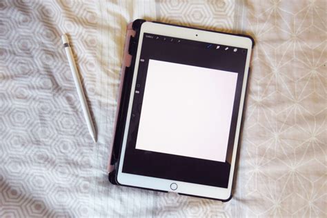 A Basic Beginners Guide To Procreate In 2024 Wonder Forest