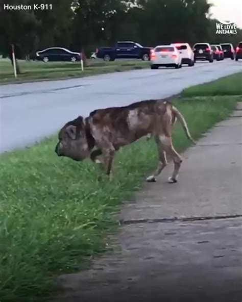 Aritra Ghosh Posted On Linkedin