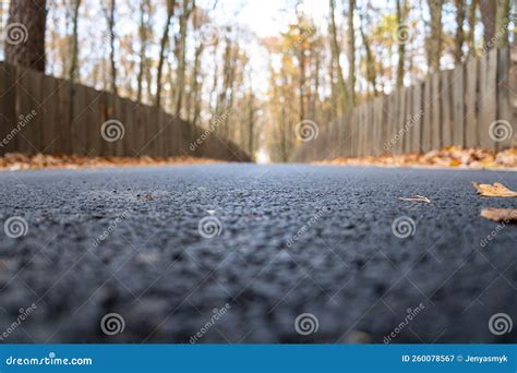 Road From The Ground Level Shallow Depth Of Field And Trees Bokeh