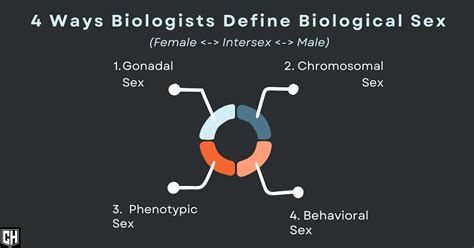 4 ways that biologists define biological sex cade hildreth