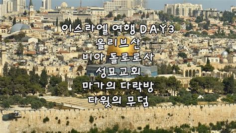 이스라엘 여행 예루살렘 올리브산 비아 돌로로사 성묘교회 마가의 다락방 다윗의 무덤 네이버 블로그