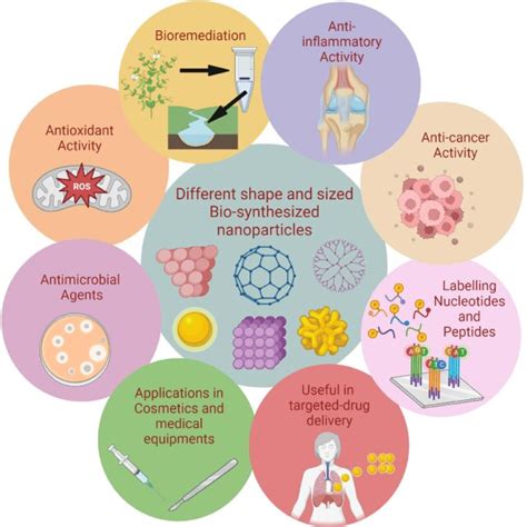 Illustrative Representation Of Different Sized And Shaped Nanoparticles