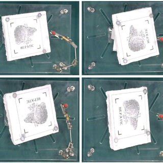 Test Ball Alignment Effect In Two Camera Views Download Scientific Diagram
