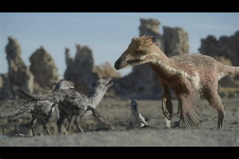 Troodon Dinosaur Planet