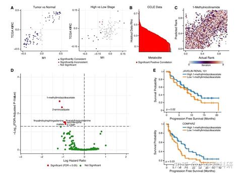 肿瘤代谢组学分析不会做？带你深度细节解析29分文章思路 知乎