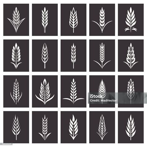 플랫 벡터 흑백 농업 밀 아이콘 세트 유기농 밀 쌀 귀 격리 빵 맥주 로고 포장 라벨에 대한 디자인 템플릿 검은색에 대한 스톡 벡터 아트 및 기타 이미지 Istock