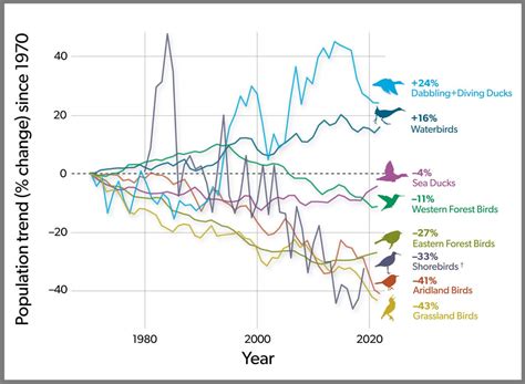 Us Bird Populations Continue Alarming Decline New Report Finds