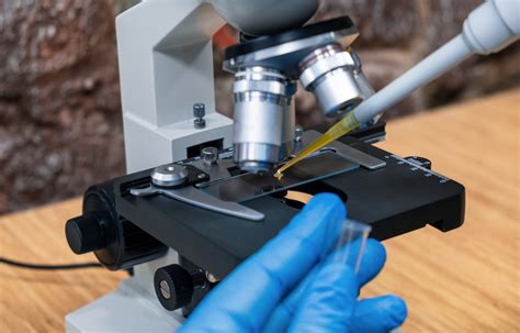 Top 7 Trends In Atomic Emission Spectroscopy