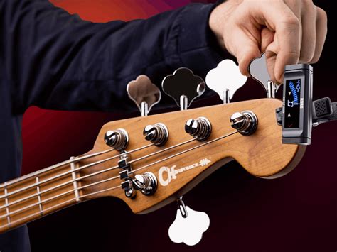 How Often Should You Change Bass Strings Ted S List