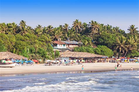 Draufsicht Arambol Strandes Palmen Strand Und Arabisches Meer Goa