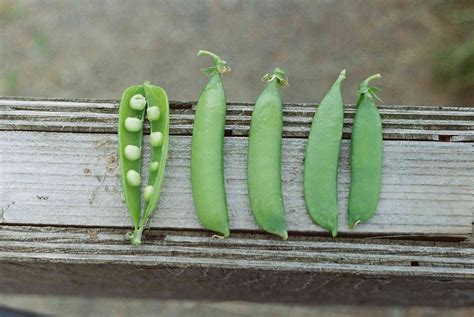 How To Achieve A Gitlab Jira Integration