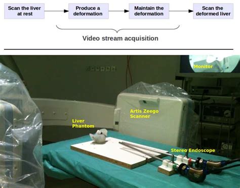 Experimental Protocol For The Quantitative Validation Top The Download Scientific Diagram