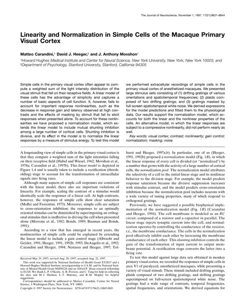 pdf linearity and normalization in simple cells of the macaque