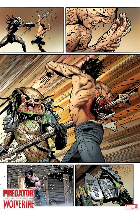 Predator Vs Wolverine Writer Takes Icons On Historic Hunt