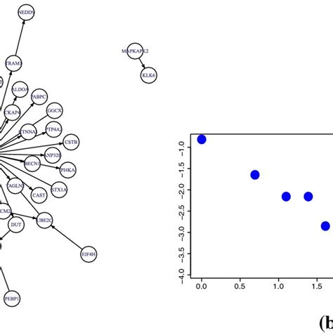 Example For Illustrating The Markov Equivalence Of Dags The Dags In A Download Scientific