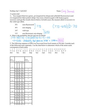 Problem Set Discussion Set Problem Set Fall Name