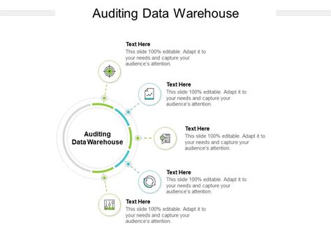 Auditing Data Warehouse Ppt Powerpoint Presentation Show Clipart Images Cpb