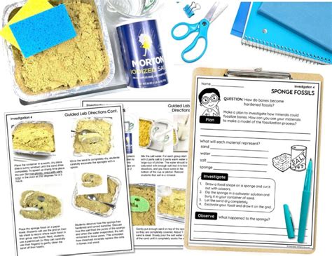 Easy Fossil Experiment For 3rd Grade Around The Kampfire