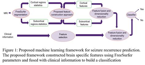 Seizure Recurrence Prediction From Mri And Clinical Information Using Novel Brain Features For