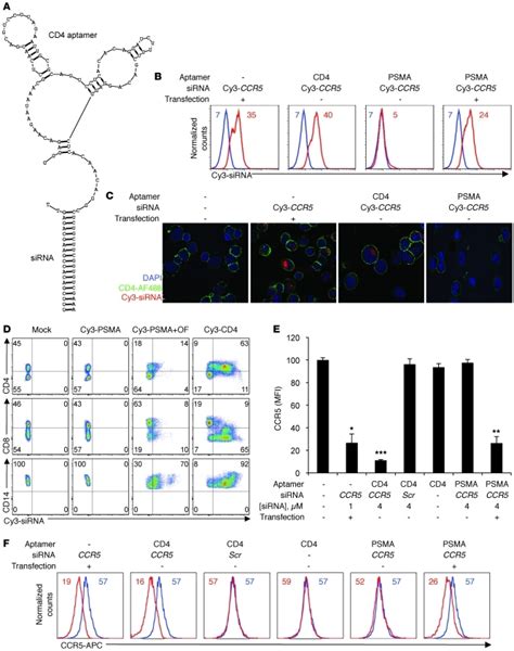 Inhibition Of Hiv Transmission In Human Cervicovaginal Explants And