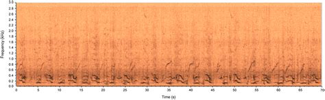 Spectrogram Of Humpback Whale Vocalizations Registered In The Seaside Download Scientific