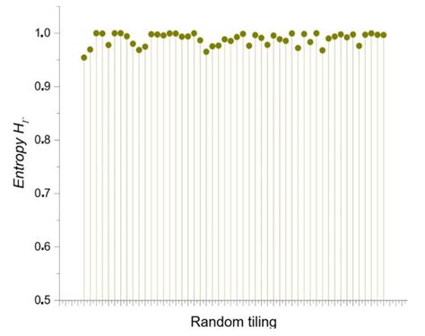 Entropy Free Full Text Entropy As A Geometrical Source Of Information In Biological