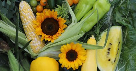 Mums And Asters Harris Seeds