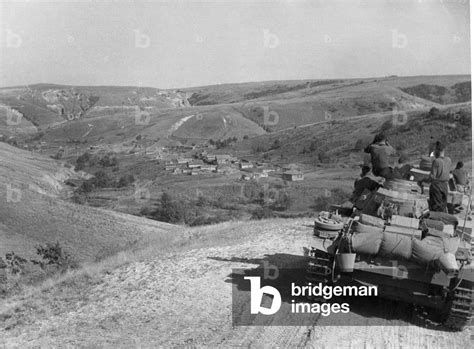 Image Of Nazi German Tank Column Passes In The Caucasus 1942 Bw