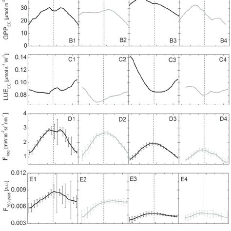 Diurnal Behavior Of Canopy Variables Measured On The Ground In A Winter Download Scientific