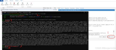 python mitmproxy 二次开发 支持多种解密方式 抓包解密 python解密 代理抓包软件解密 app抓包解密 小程序抓包解密