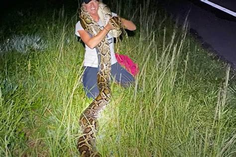 amy siewe part python huntress part conservationist