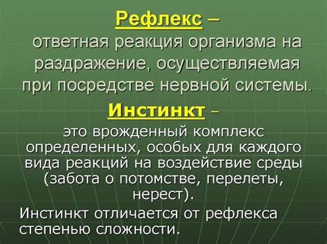 Инстинкт и рефлекс разница и имеются ли отличия сравнение понятий