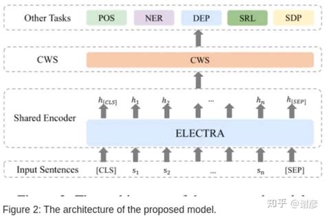 论文阅读 中文NLP LTP 知乎