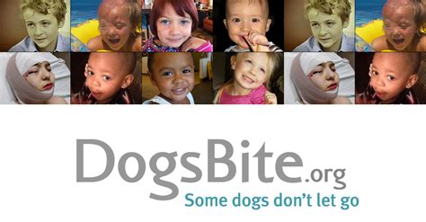 Recent Us Dog Bite Fatality Statistics Charts And Maps Dog Bite