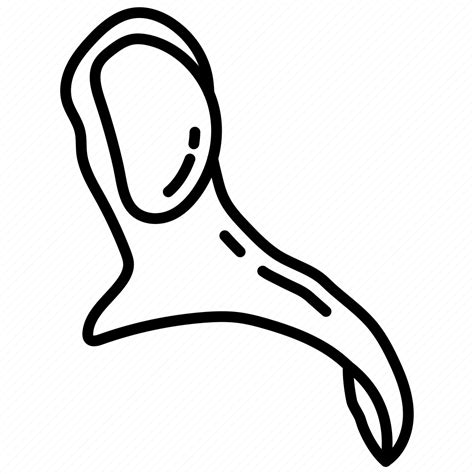 Themallleus Ear Bone Tiny Bones Diagram Examination Icon