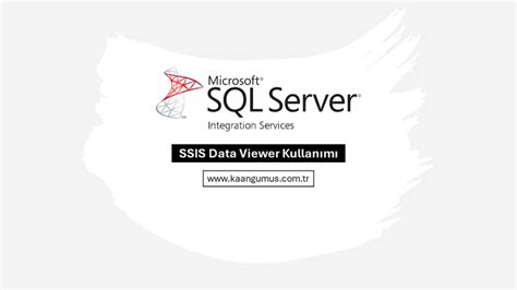 Ssis Data Viewer Kullanımı Kaan Gümüş