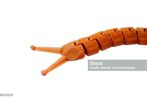 밝은 빛 애벌레 장난감의 형태로 갈색 개체 3d 프린터에 인쇄 3차원 인쇄에 대한 스톡 사진 및 기타 이미지 3차원 인쇄