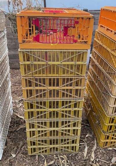6 Chicken Crates Hamilton Maring Auction Group