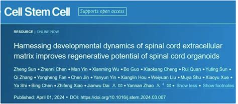 项目文章丨单细胞测序助力脊髓损伤修复突破性研究成果 知乎
