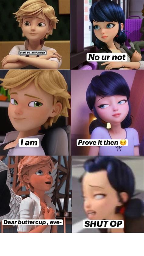 Miraculous Memes