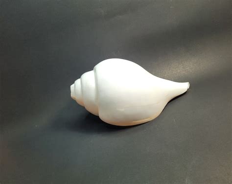 Large Conch Shell Sankha Dhung Etsy