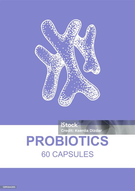 포장 및 브랜딩을 위한 손으로 그린 프로바이오틱스 디자인 스케치 스타일의 벡터 일러스트레이션입니다 현미경 박테리아 클로즈업 생물학 배경 개념에 대한 스톡 벡터 아트 및 기타