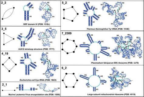 Common Subgraph Blocks Without Pseudoknots Shown For Each Dual Graph Download Scientific