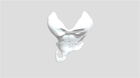 Shattered Reflection Download Free 3d Model By Kirrakaye 013660f