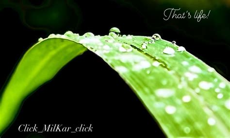 Milind Karve On Linkedin Our Life Is Like A Small Drop On The Time