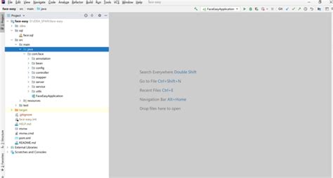 Springbootvue 实现网页版人脸登录、人脸识别，逼格很高！！！ Csdn博客
