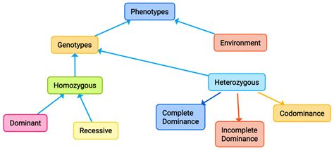 Mindmap — Lesson Science State Board Class 10