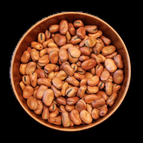 Faba Beans Emco International Dmcc